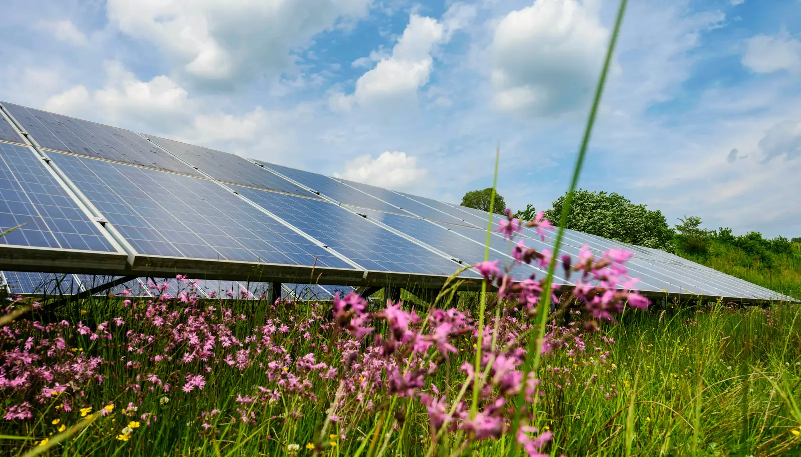 Groundbreaking Ceremony LSolar Park | EnBW