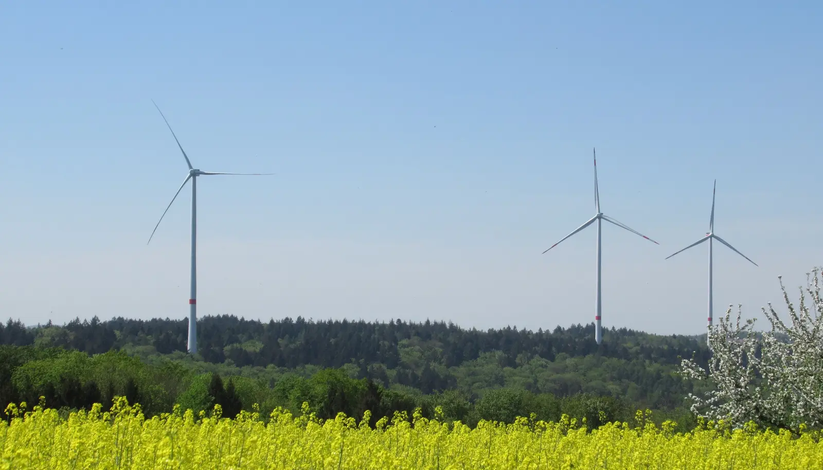 Großes Vertrauen in den wirtschaftlichen Erfolg des Windparks Gol | EnBW