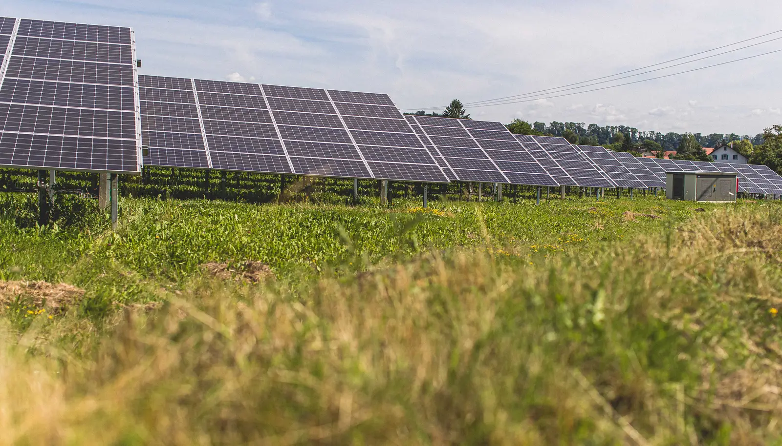 Grünes Licht für Deutschlands größten Solarpark | EnBW