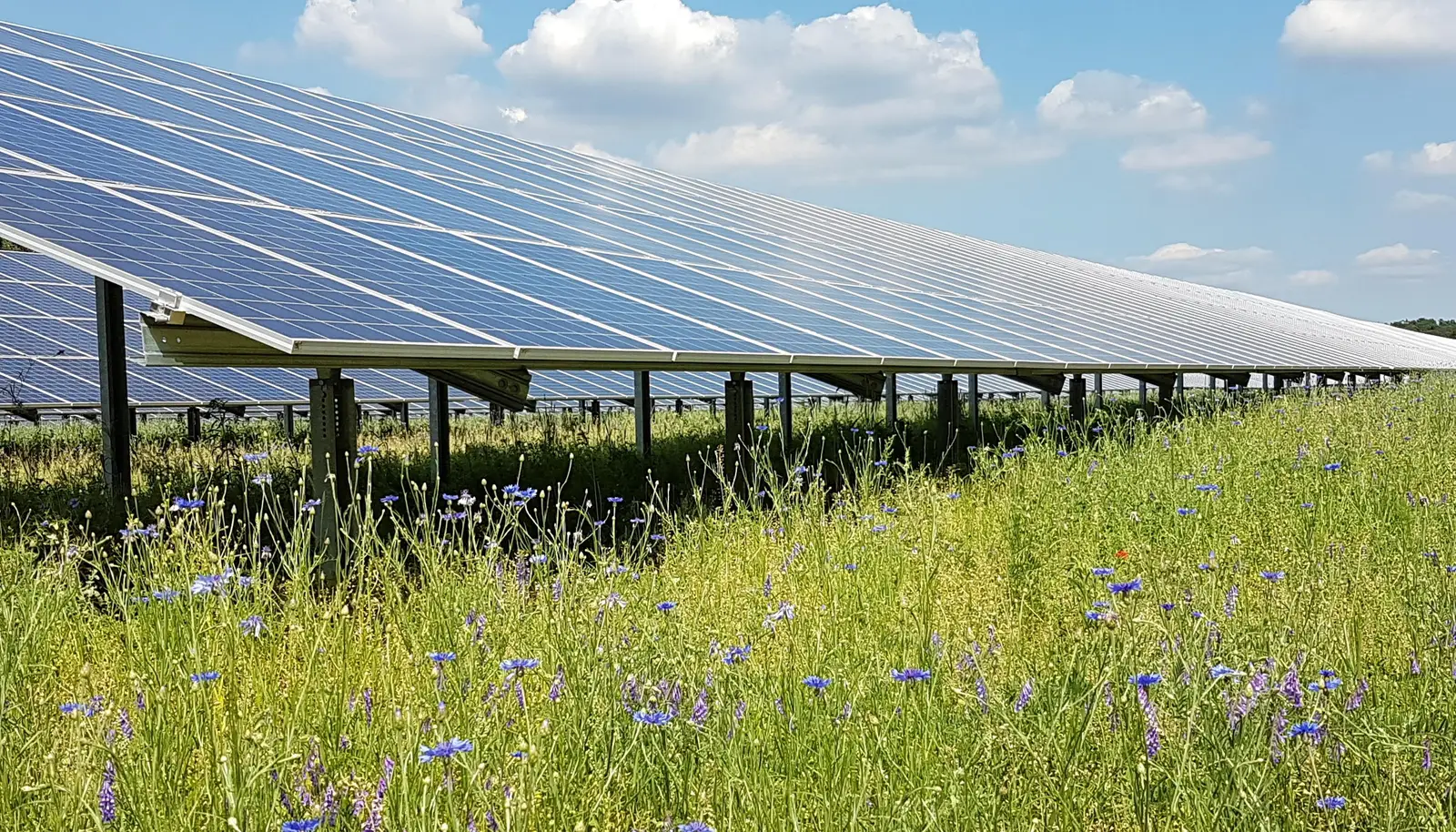 EnBW takes on solarenergy projects from Procon Solar | EnBW